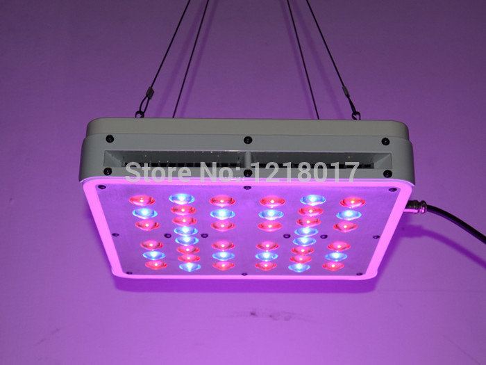 Chinese best quality and cheap price 200w Apollo 4 Led Grow Light For Hydroponics