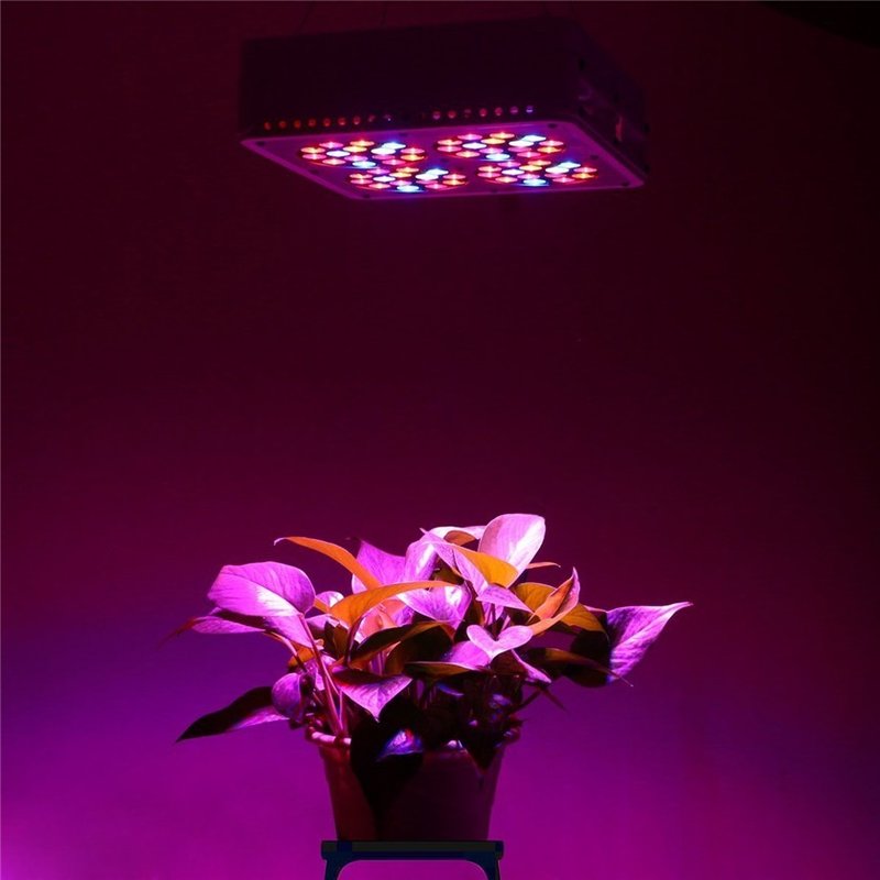 Hot Selling 180W Apollo 4 Full Spectrum LED Grow light Panel 10bands For Indoor Plants
