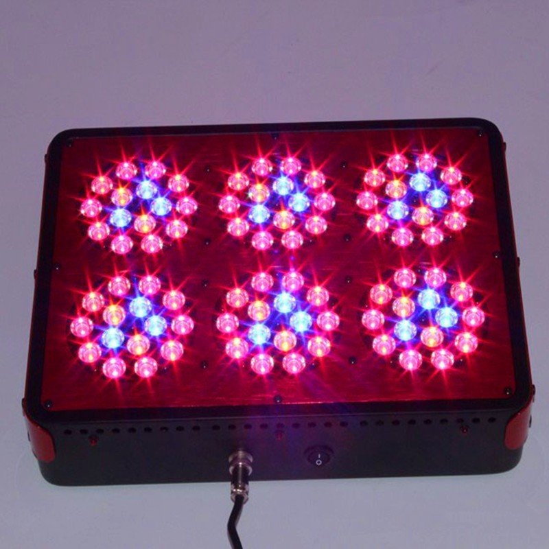 Wholesale Red Blue 270w P series LED Grow Light Upgrated Apollo plant growing lamp