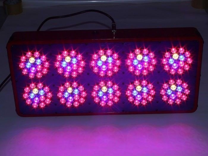 2018 New High Quality apollo 10 led grow light for indoor plants