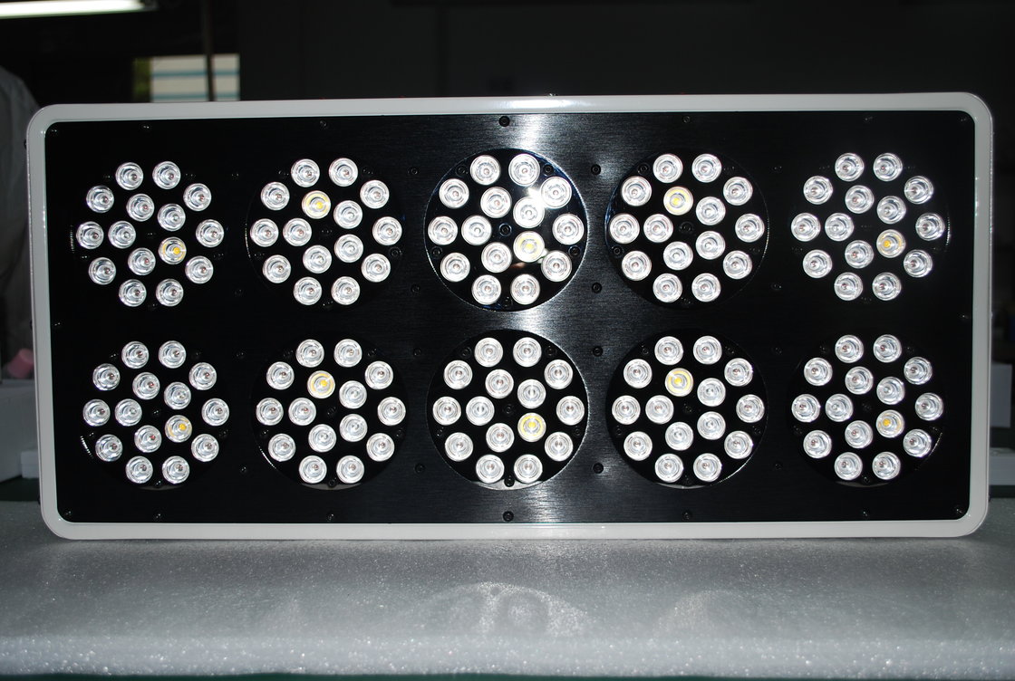 CIDLY LED 10 Epistar Greenhouse LED Grow Light 450W for hydroponic lettuce