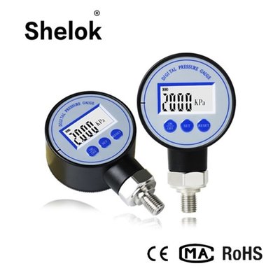 High quality digital oil air hydraulic fuel pressure gauge with alarm LED manometer