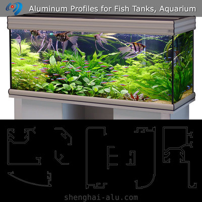 Customzied Design Aluminum Frames to Make Fish Tanks and Aquarium