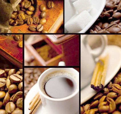 customs clearance service for Singapore cocoa to China supplier