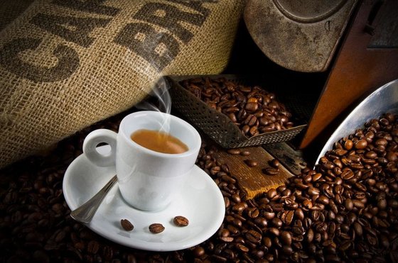 customs clearance service for Singapore cocoa to China supplier