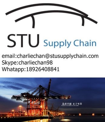 Cheap Fast and Safety Ocean shipping to FENIX,Paraguay supplier