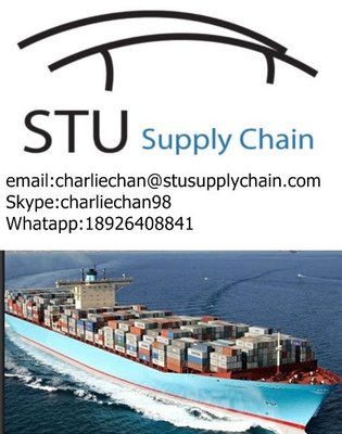Best and cheap Sea shipping rate from China to PUERTO SANDINO,Nigaragua supplier