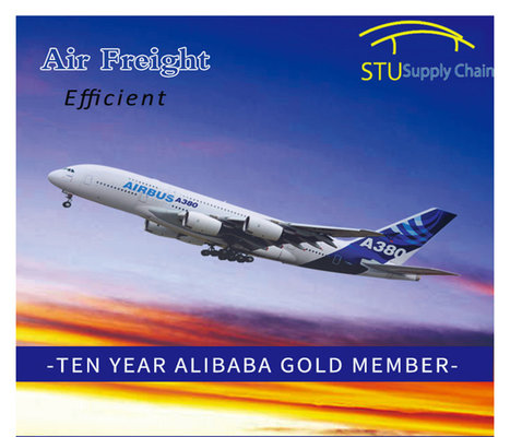 Professional AIR SEA logistics Service From China to Africa Efficient Customs Clearance supplier