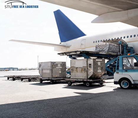 Amazon Cargo Door To Door Ocean Shipping Freight Forwarding to Canada supplier