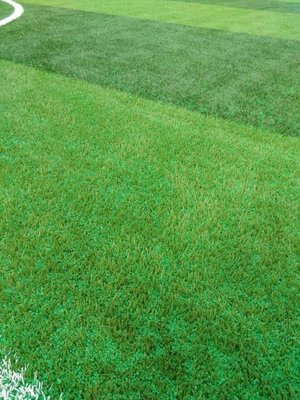 IRB Standard Corrosion Resistance SEBS Rubber Synthetic Grass Infill Good Water Permeability Odorless