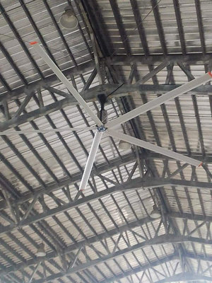 Best Quality with Best price  Permanent magnet brushless DC large industrail ceiling fan