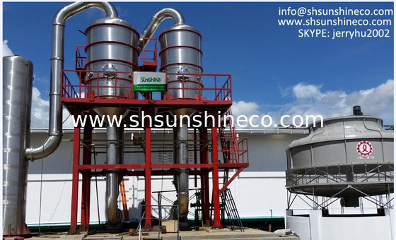 Supply Tomato paste processing line/Tomato machine/Tomato Plant with Italy technology