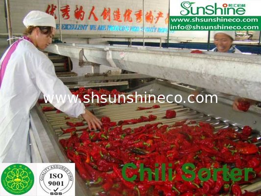Chili Paste Machine/Chili Sauce Mahince/Chili Processing/Chili Factory/Chili Paste processing