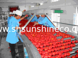 Tomato Paste Plant/tomato processing line/tomato paste production line/Tomato Processor/tomato ketup machine