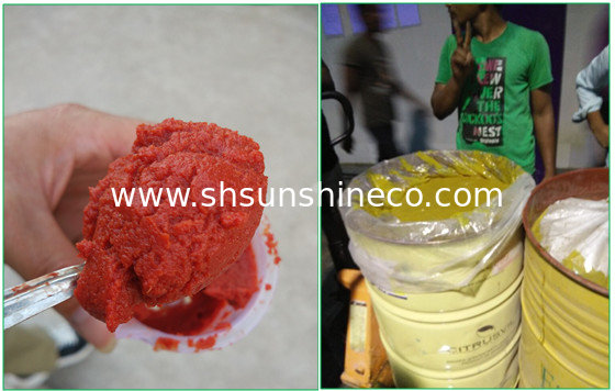 5 ton tube in tube sterilizer for tomato paste