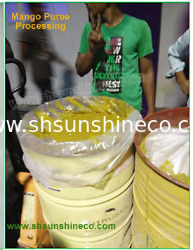 Mango Processing Machine, Mango Processing Factory, Mango Puree factory, Mango Puree Production Plant