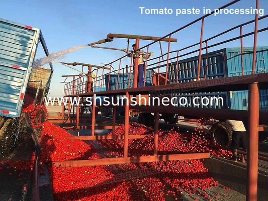 high quality tomato paste in drum steel  with 100% fresh tomato and non-GMO 36-38% Brix Cold break Good Color