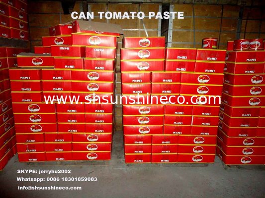 Chinese Canned Tomato paste/Tomato ketchup/ Tomato Sauce/Tomato Jam