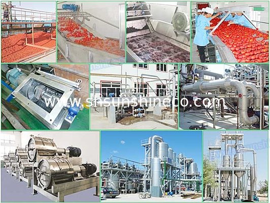 high efficiency steady running tomato paste processing plant tomato paste factory  Italy technology
