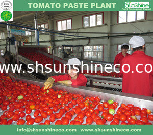 Tomato Paste Plant/Machinery/tomato paste processing line Italy knowledge