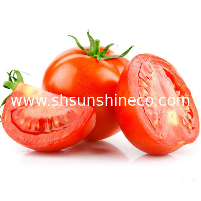 0.5~75tons/hr high efficiency steady running tomato paste processing plant tomato paste factory  Italy technology