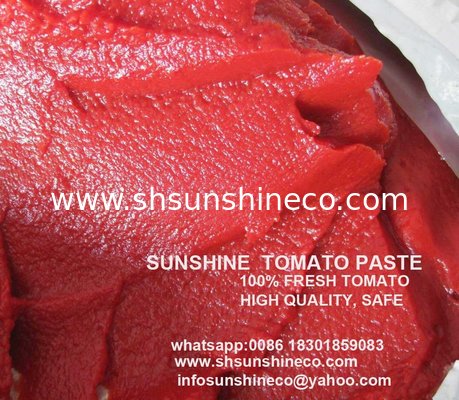 bulk package tomato paste brix 28-30%, 30-32%, 36-38%