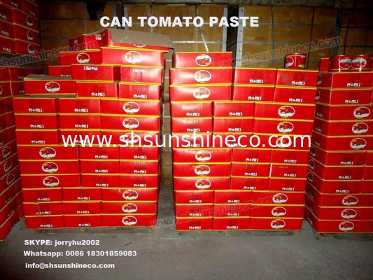 Canned Tomato Paste/ tin tomato sauce