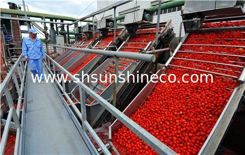 tomato paste plant/tomato paste processing factory/tomato paste machine
