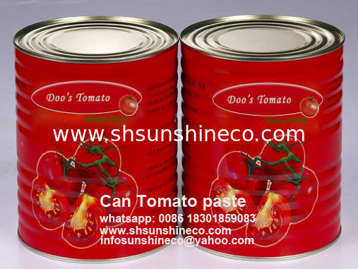 Chinese Canned Tomato paste/Tomato ketchup/ Tomato Sauce/Tomato Jam