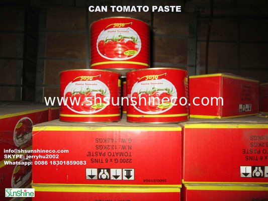 Canned Tomato Paste/ tin tomato sauce