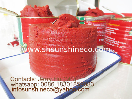 Chinese Canned Tomato paste/Tomato ketchup/ Tomato Sauce/Tomato Jam