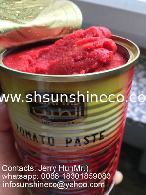 Supply Canned Tomato Paste/Tomato Sauce