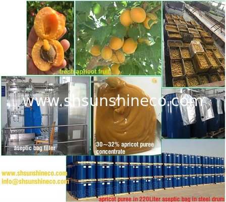 Crop2016 30~32% APRICOT PUREE/APRICOT PASTE 100% FRESH APRICOT