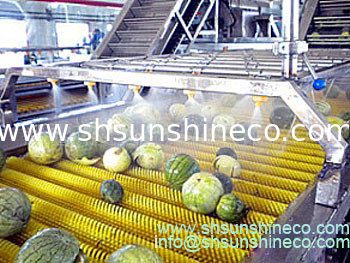 Coconut Washing Machine/Coconut washer/watermelon washer/fruit washer
