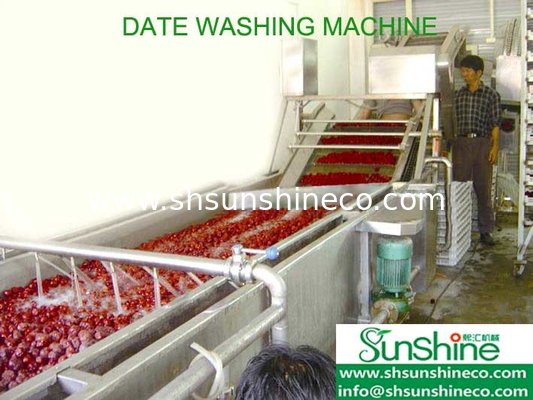 Date Washing Machine/Date Washer/Fruit Washer/Fruit washing machine