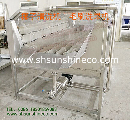 Coconut Washing Machine/washer of peach, apple, pear, citrus, mango, pineapple, watermelon and other hard fruits.