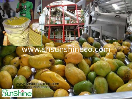 High efficiency Good Price Mango Processing Line/Mango Puree Plant/Mango puree making with Italy technolog