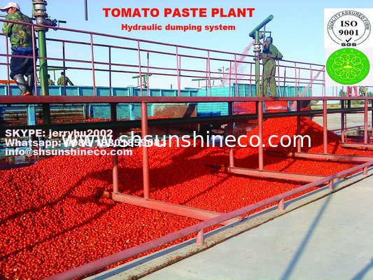 1 to 50 tons per hour tomato paste processing plant/strawberry processing line/chili paste production line