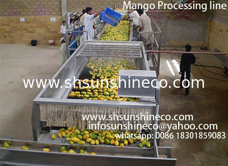 Tropical Fruit Process Plant Machinery/Mango Puree Processing Machine