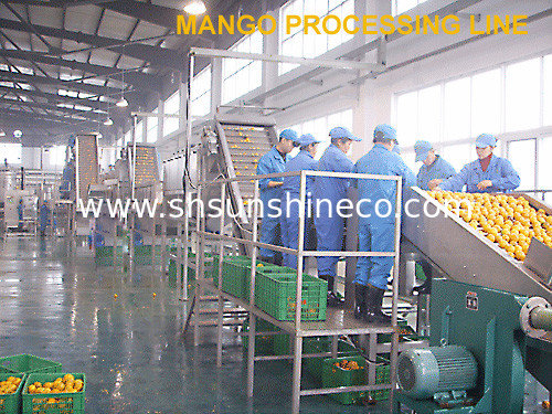 Tropical Fruit Process Plant Machinery/Mango Puree Processing Machine