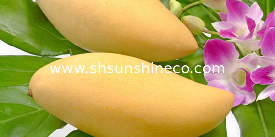 Mango peeling machine/Mango peeler/Mango Processer/Mango peel