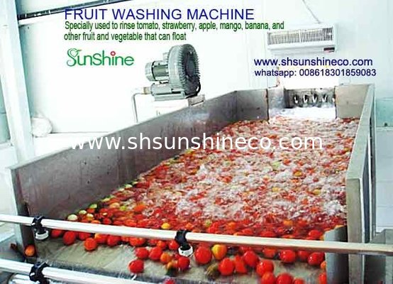 tomato processing plant