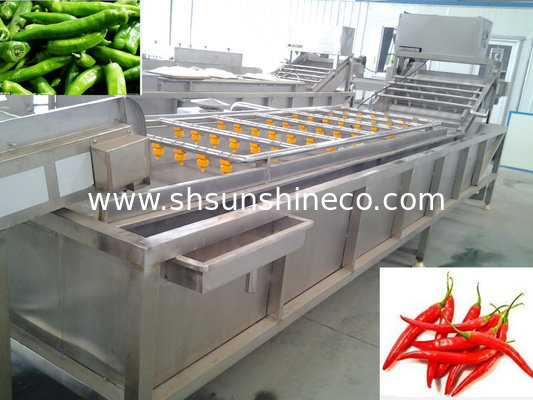 Chili Washing Machine/Chili Washer/Chili Process 304 stainless steel in wooden case