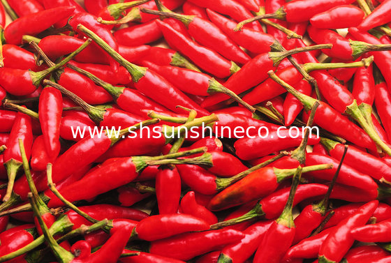 Surf bubbling washing machine/bubber washing machine/washer/fuit washer/tomato washer/chili washer