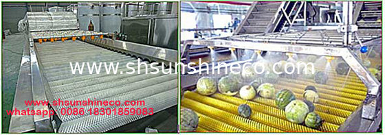Brush roller washing machine/fruit washer/fruit washing machine/brush washing machine/brush washer/coconut washer
