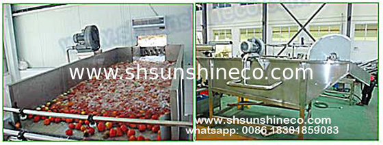 Surf bubbling washing machine/Fruit washer