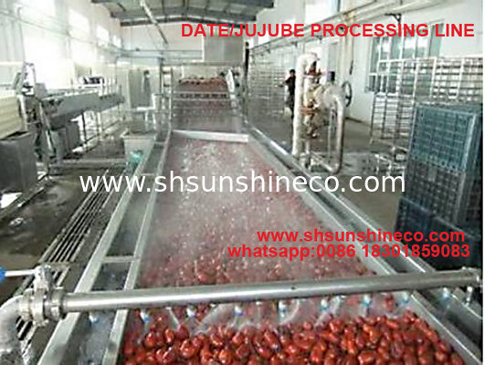 Date Washing Machin/Date washer/Date processing line/Jujube processing