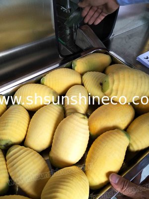 Professional manufacturer of Mango Peeling Machine, Mango Peeler, Mango Processer, Mango processing