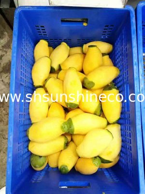 Professional manufacturer of Mango Peeling Machine, Mango Peeler, Mango Processer, Mango processing