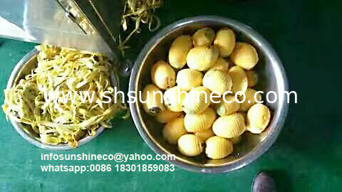 Mango peeling machine/Mango peeler/Mango Processer/Mango peel